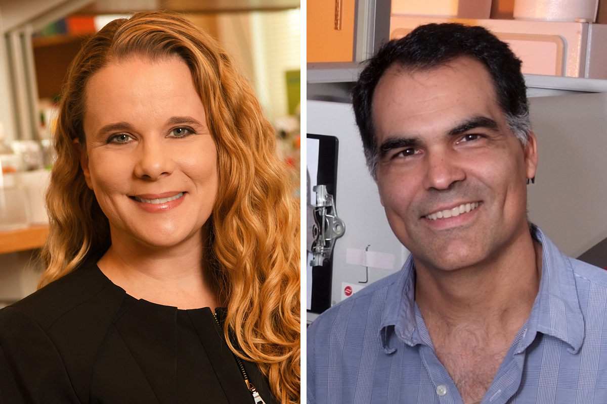 Winship Names Two Assistant Directors To Bolster Training And Research